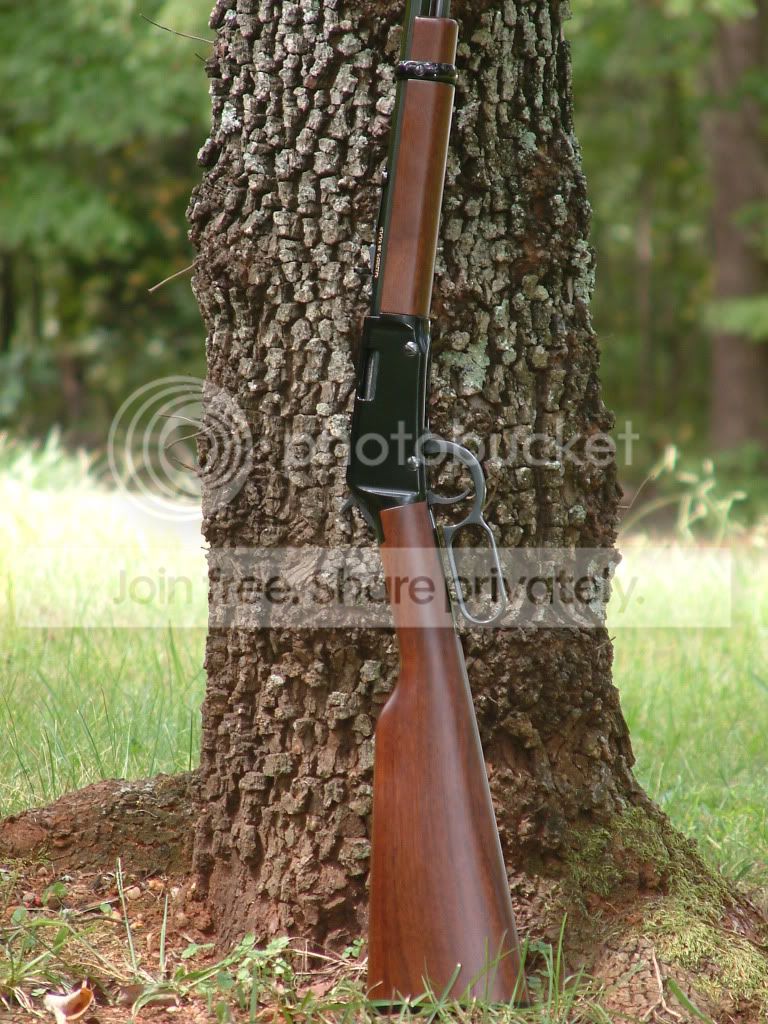 fancy wood | Rimfire Central Firearm Forum